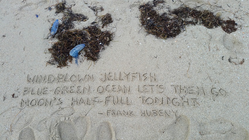 Mythological Jellyfish – Poetry, Short Prose and Walking