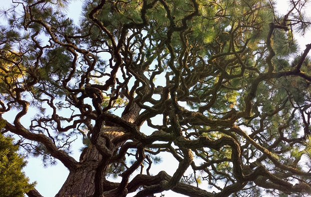 Time – Poetry, Short Prose and Walking