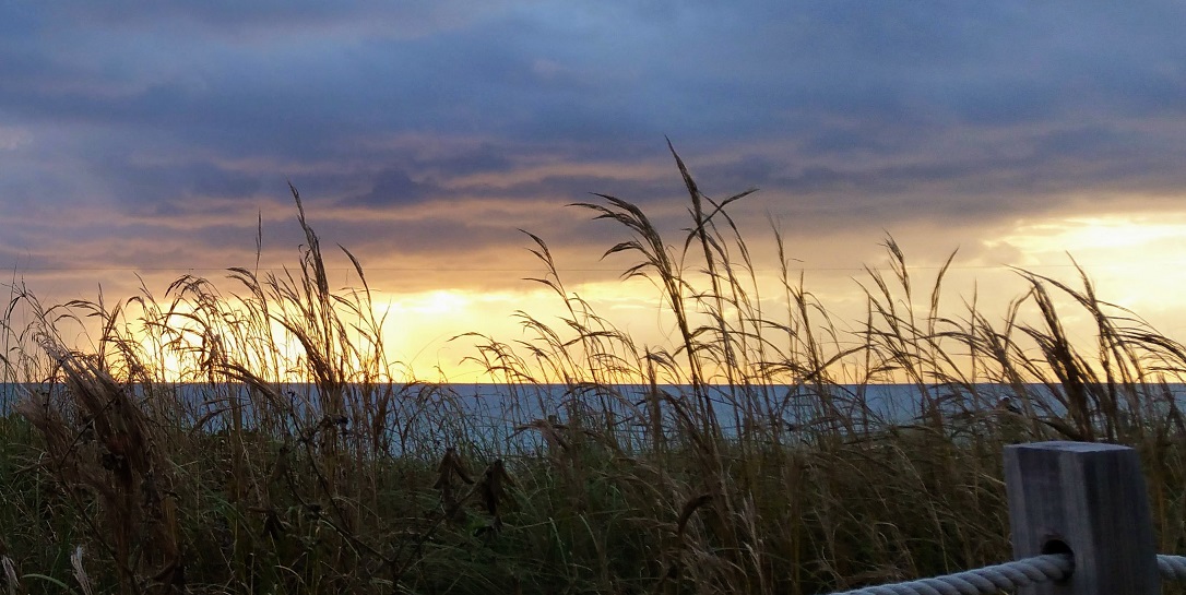 Walking Home – Poetry, Short Prose and Walking