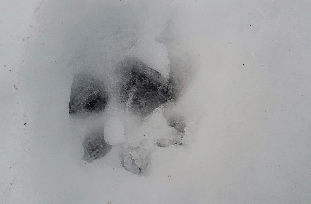 Nasty Troll – Poetry, Short Prose and Walking