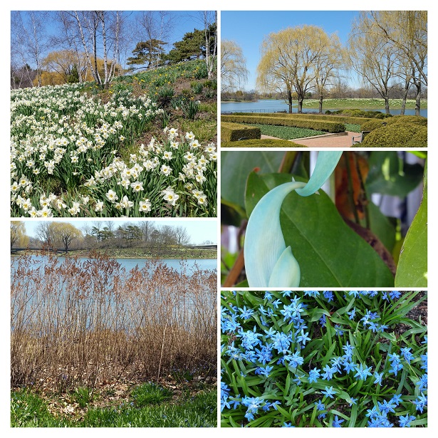 Spring Has Sprung – Poetry, Short Prose and Walking