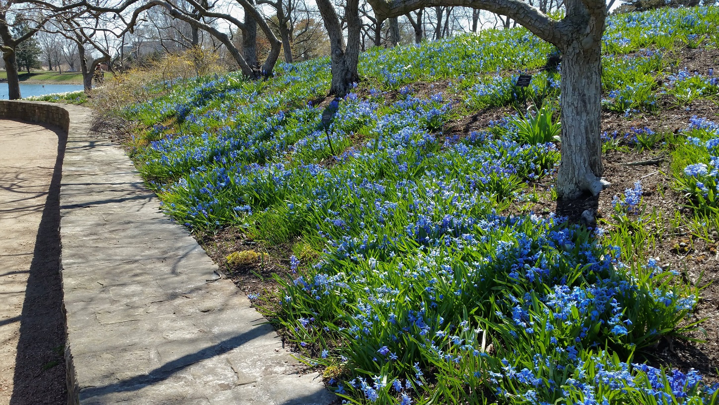 Spring Has Sprung – Poetry, Short Prose and Walking