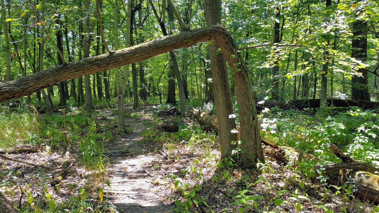 Bend – A Six Sentence Story – Poetry, Short Prose and Walking