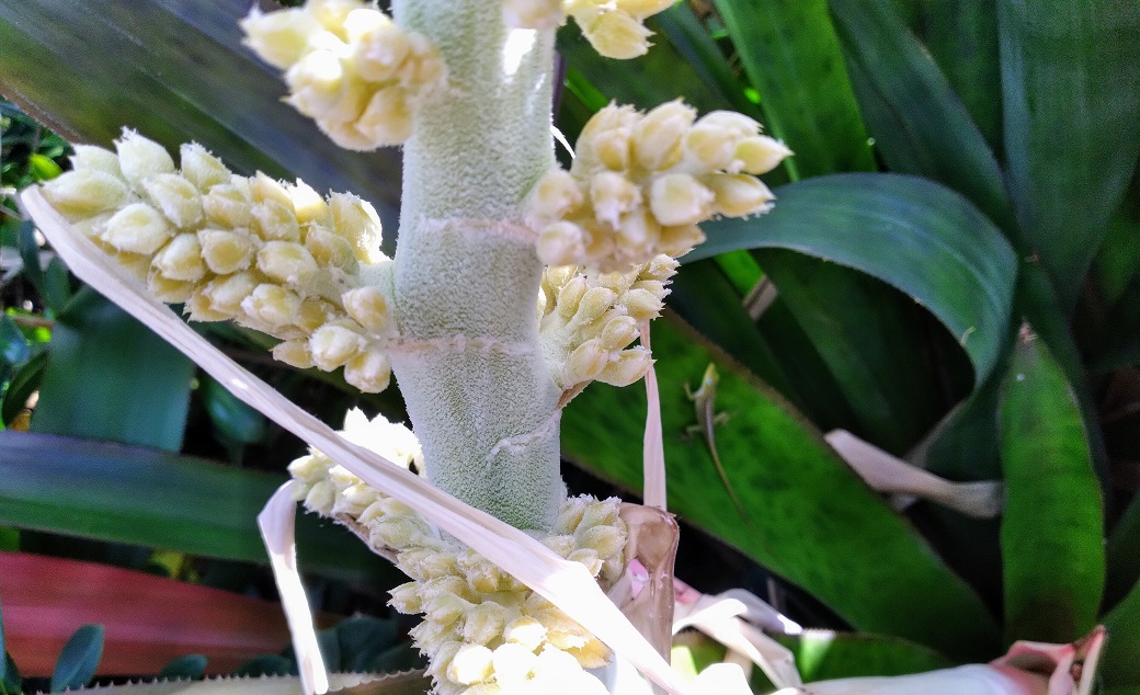 Care – Décima – Poetry, Short Prose and Walking