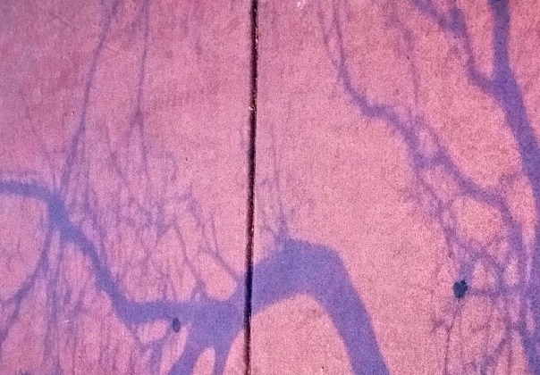 Eternal – Six Sentence Story – Poetry, Short Prose and Walking