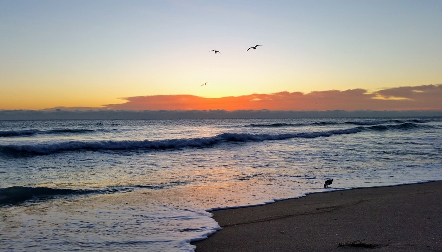 Justice—Ovi Poetry Challenge – Poetry, Short Prose and Walking