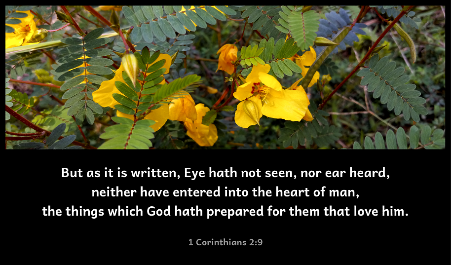 Vision—Six Sentence Story – Poetry, Short Prose and Walking