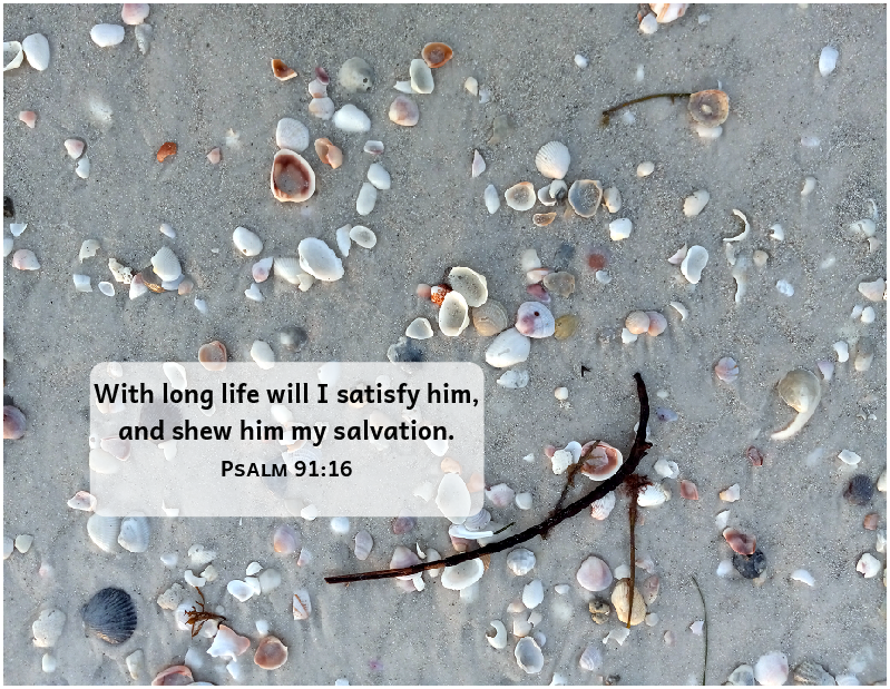 Psalm 91:16 – Poetry, Short Prose and Walking