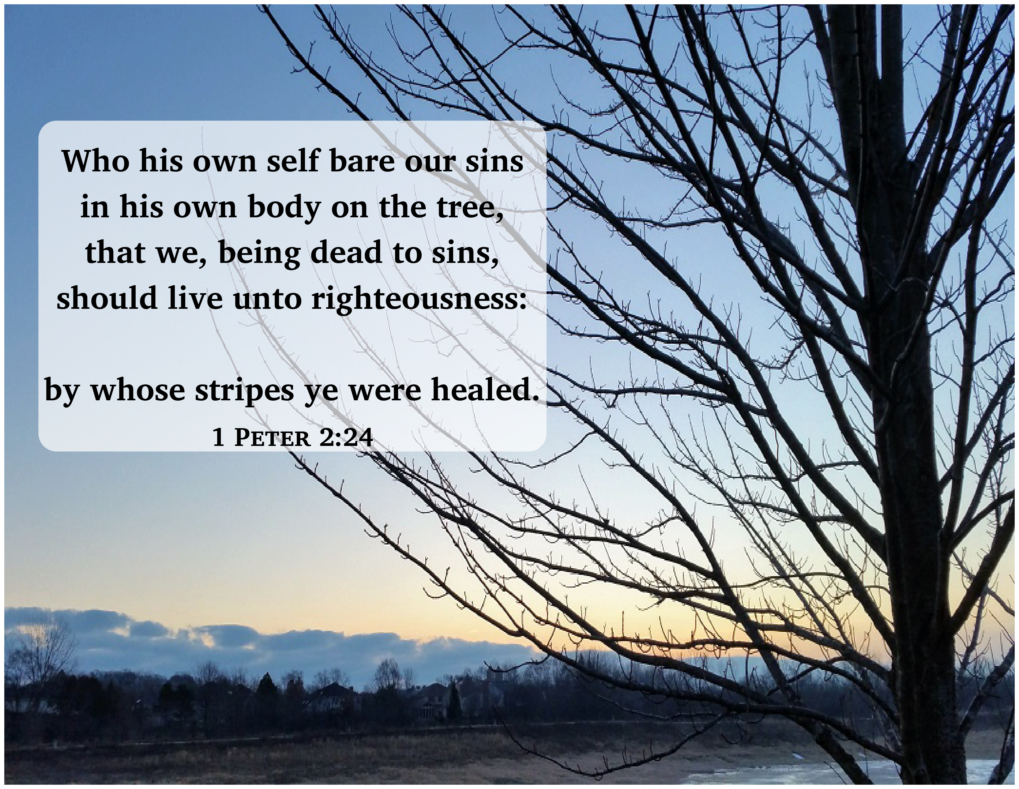 Bank—Six Sentence Story – Poetry, Short Prose and Walking