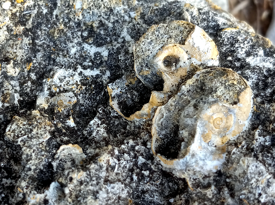 Set In Stone – Poetry, Short Prose and Walking