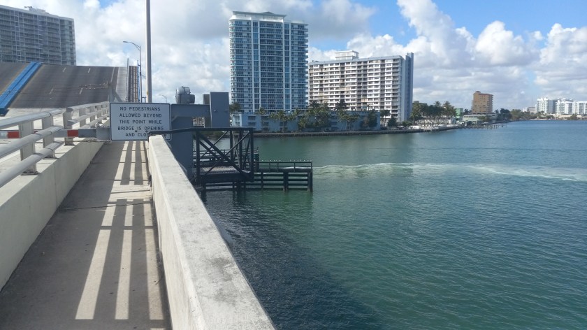 Poetry, Short Prose and Walking