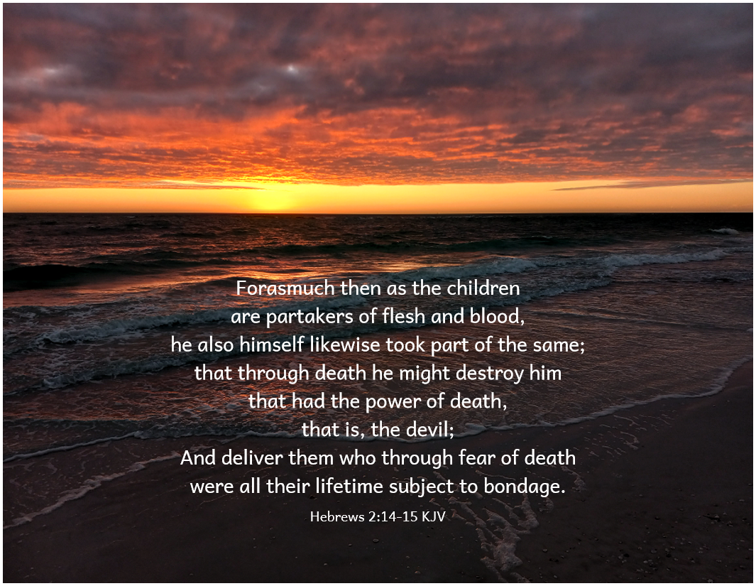 Ovi Poetry Challenge: Health – Poetry, Short Prose and Walking