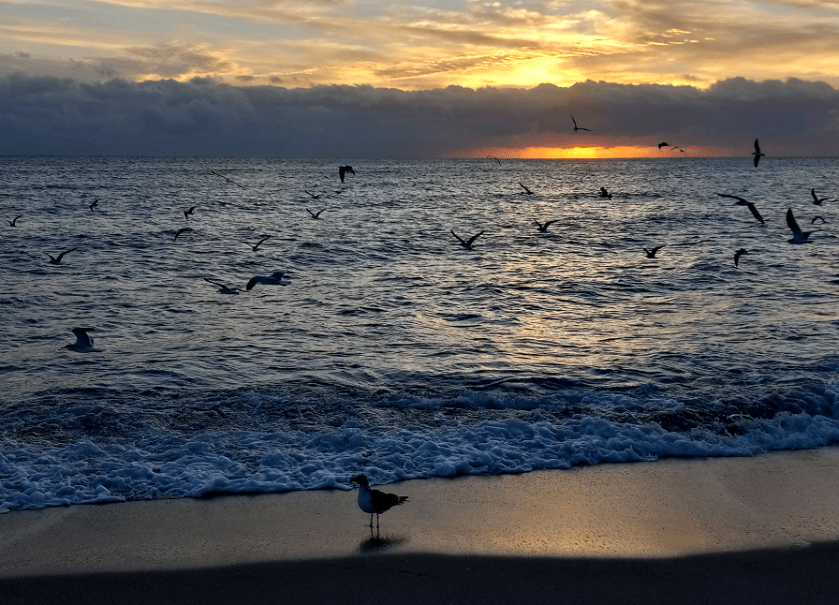 September Limericks – Poetry, Short Prose and Walking