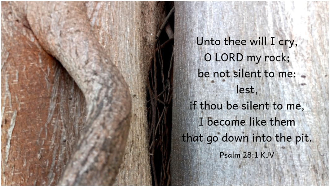 Psalm 28:1 – Poetry, Short Prose and Walking
