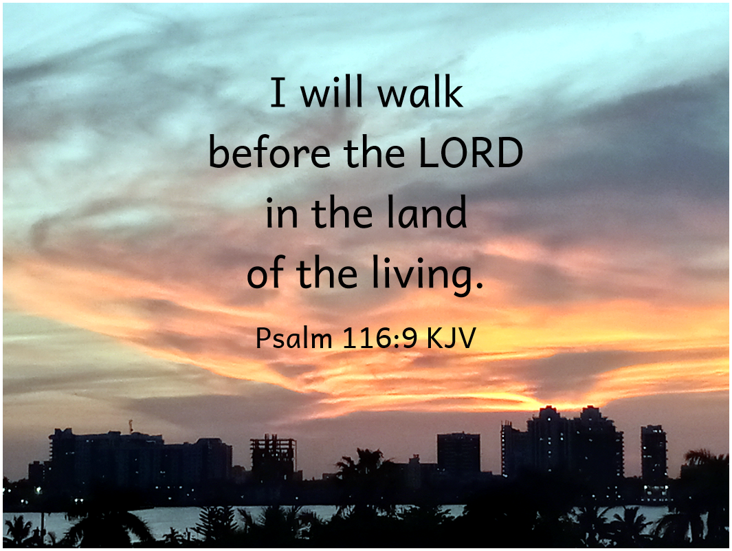 Psalm 116:9 – Poetry, Short Prose and Walking