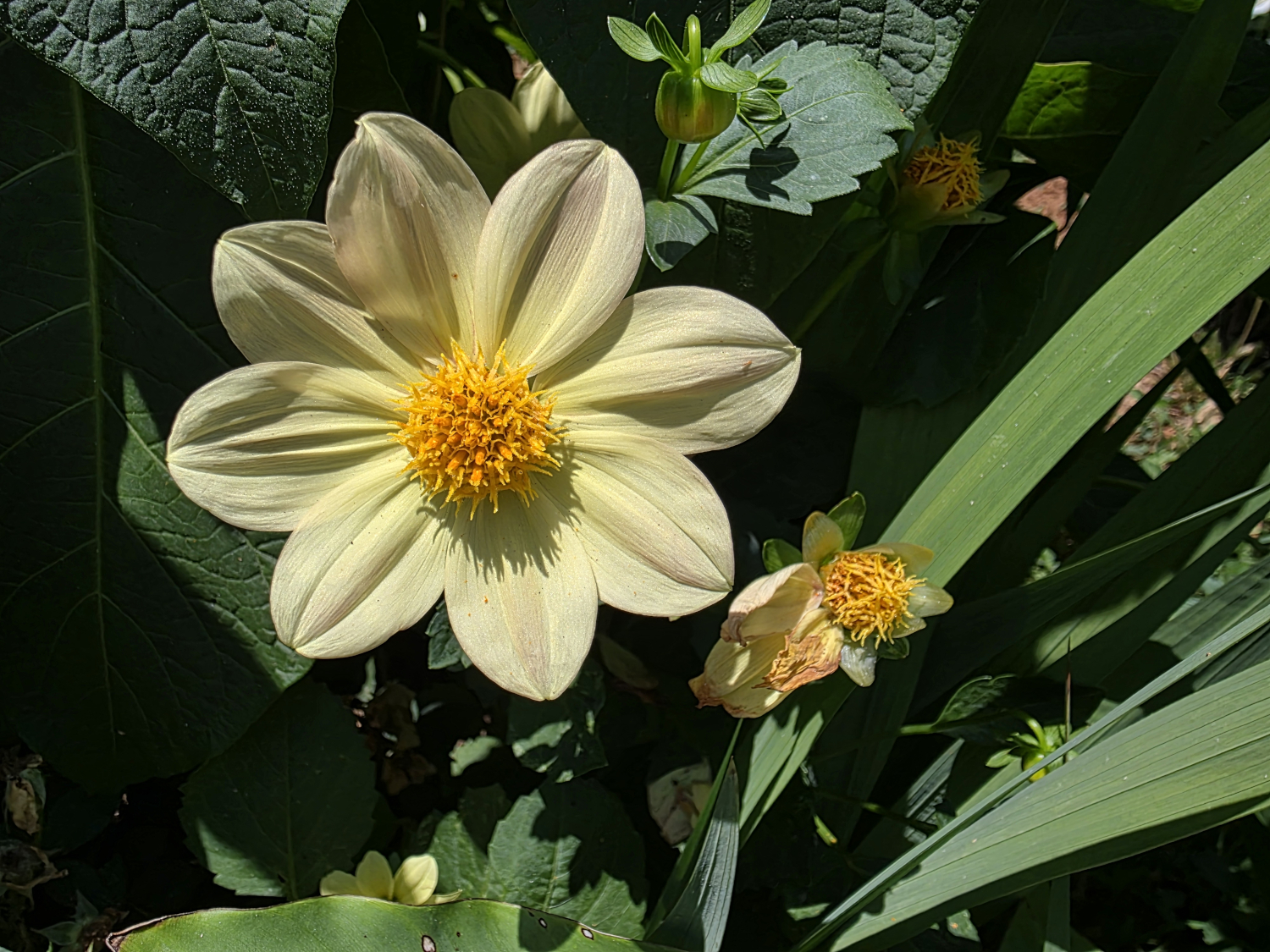 Ten Things of Thankful: May 23, 2026 – Poetry, Short Prose and Walking